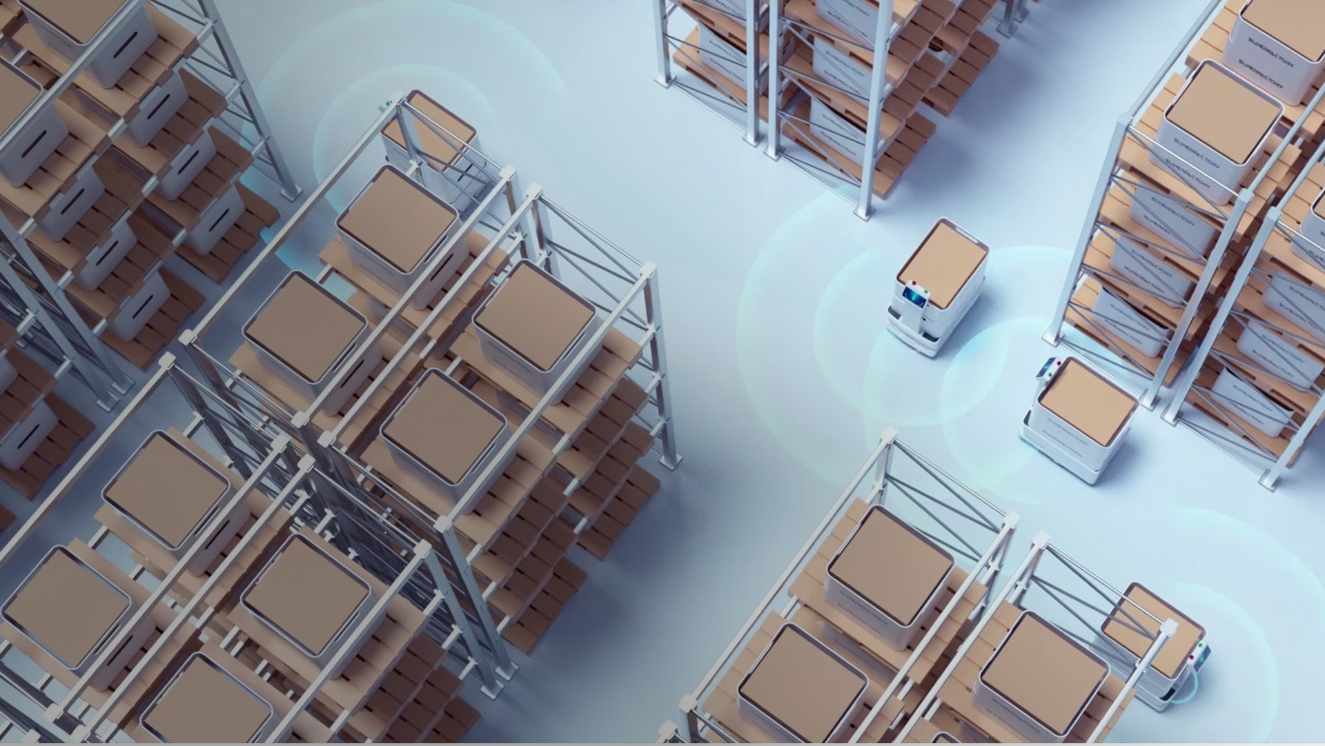 Big Dog Delivery Robot